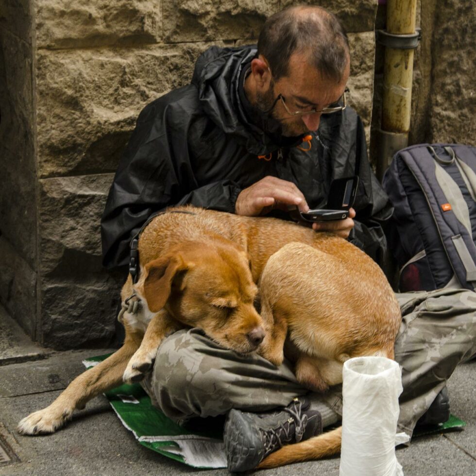 Helping People Saving Pets - Lost Our Home