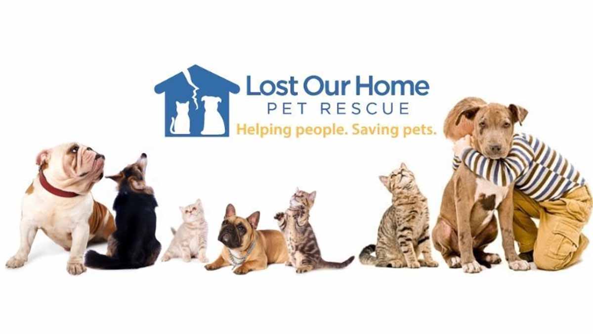 Adopt a Dog - Lost Our Home