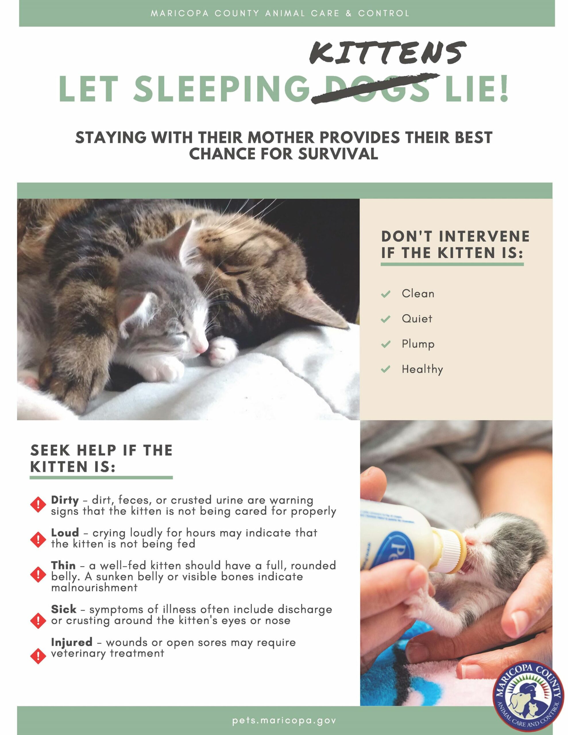 Helping People Saving Pets - Lost Our Home